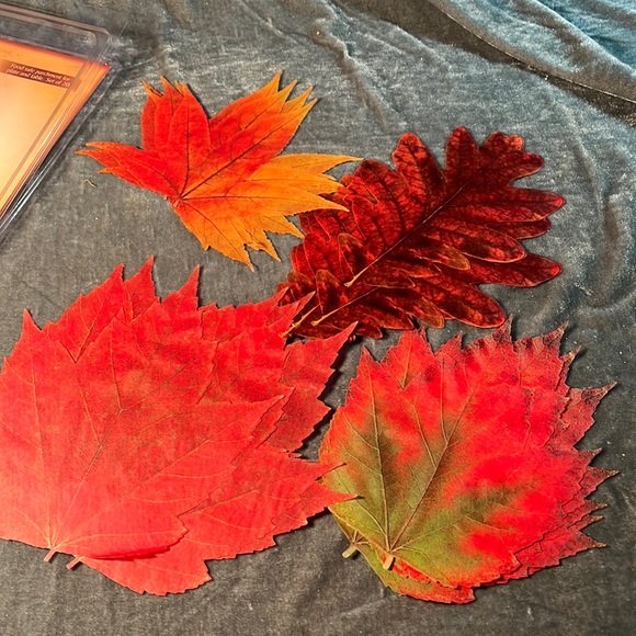 Holiday | Deco Leaves Parchment Fall Table Decor | Poshmark